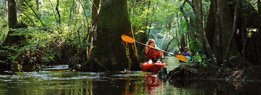 Discover South Carolina Outdoors - Pee Dee Country